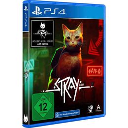 Stray PlayStation 4