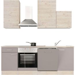 Flex-Well Küche Riva, wahlw. mit E-Geräten, Breite 220 cm, viele Farbvarianten erhältlich, grau
