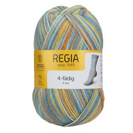 Regia Sockenwolle 4-fädig Wolle zum Socken stricken