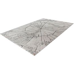 Teppich Kayoom "Lorin 125" Teppiche Gr. B/L: 160 cm x 230 cm, 10 mm, 1 St., bunt (grau, multi) Esszimmerteppiche