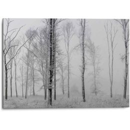 Wandbild Reinders "Aluminium Still Natur - Schwarz-Weiss Wald Bäume" Bilder Gr. B/H: 70 cm x 50 cm, Stillleben, 1 St., schwarz (schwarz, weiß) Kunstdrucke