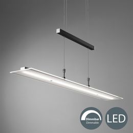 Pendelleuchte B.K.LICHT "BK_PL1491 Dimmbare LED Pendelleuchte, 20 W, Schwarz, B: 85 cm" Lampen Gr. höhenverstellbar von 95-175 cm, schwarz LED Hängeleuchten und Pendelleuchten