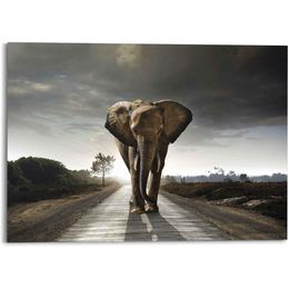 Wandbild Reinders "Elefantenkönig Tiermotiv - Elefant Natur" Bilder Gr. B/H: 140 cm x 100 cm, 1 St., braun Kunstdrucke