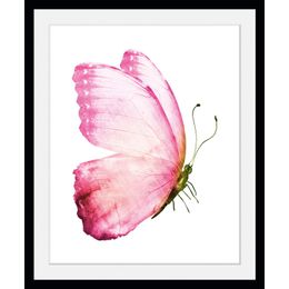 Bild queence "Apache" Bilder Gr. B/H: 50 cm x 70 cm, Wandbild Schmetterlinge Hochformat, 1 St., rosa Kunstdrucke