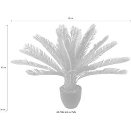 Kunstpflanze I.GE.A. "Cycaspalme im Topf" Kunstpflanzen Gr. B/H: 26 cm x 67 cm, 1 St., grün Künstliche Zimmerpflanzen