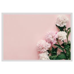 Bild queence "Gunda" Bilder Gr. B/H: 60 cm x 50 cm, Wandbild Blumen Querformat, rosa (weiß) Kunstdrucke Rosen, gerahmt