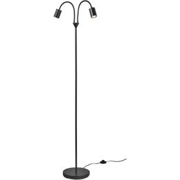 Stehlampe Nordlux "Explorer" Lampen Gr. Ø 5,50 cm Höhe: 179,40 cm, schwarz Stehlampe Standleuchte Standleuchten Zeitgenössischer, einfacher Stil, verstellb. Lampenköpfe, flexi. Arm
