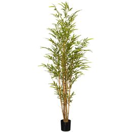 Kunstbaum Creativ green "Bambus" Kunstpflanzen Gr. H: 150 cm, 1 St., grün Kunst-Bäume