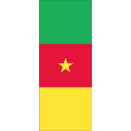 flaggenmeer Flagge Flagge Kamerun 110 g/m² Hochformat