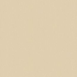 A.S. Création Vlies Sandtapete hell | Uni Tapete in Sandfarben schlicht ideal für Büro und Esszimmer | Einfarbige Vliestapete in Naturfarben für Arbeitszimmer