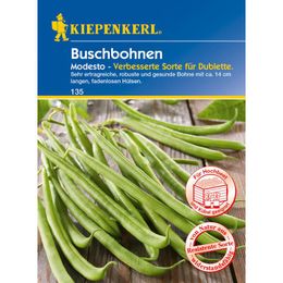 Buschbohnen Modesto - Gemüsesamen - Kiepenkerl