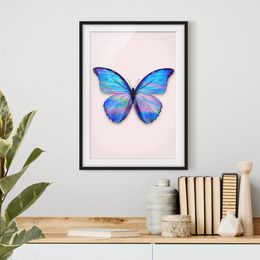 MICASIA Bild mit Rahmen - Jonas Loose - Holografischer Schmetterling Größe HxB: 70cm x 50cm, Rahmen: Schwarz