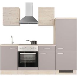 Flex-Well Küche Riva, wahlw. mit E-Geräten, Breite 220 cm, viele Farbvarianten erhältlich, grau