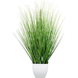 Kunstgras Grasbusch Gras, Creativ green, Höhe 59 cm, im weißen Topf, grün