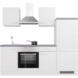 Flex-Well Küche Kopenhagen, wahlw. mit E-Geräten, Breite 220 cm, viele Farbvarianten erhältlich, grau|weiß