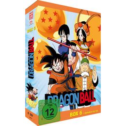 CRUNCHYROLL Dragonball: Die TV-Serie - Box 6 (DVD)