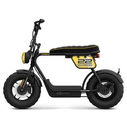 MANGOSTEEN E-Motorroller Coopop Scrambler