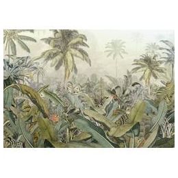 Komar Vlies Fototapete Amazonia 368 x 248 cm