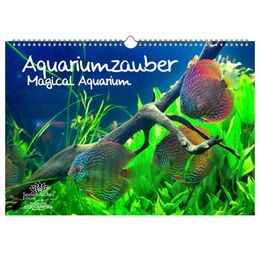Seelenzauber ewige Kalender Aquariumzauber Immerwährender Kalender DIN A3 Tiere im Aquarium und