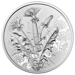 15,56 g Silber 10 Euro Mit der Sprache der Blumen Löwenzahn 2022 - Handgehoben