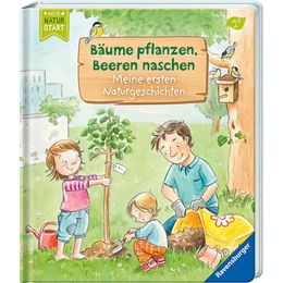 RAVENSBURGER VERLAG Mein Naturstart / Bäume pflanzen, Beeren naschen: Meine ersten Naturgeschichten - Sandra Grimm, Pappband