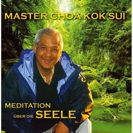 Meditation über die Seele,1 Audio-CD - Choa Kok Sui (Hörbuch)