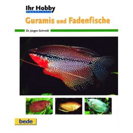 Ihr Hobby Guramis und Fadenfische - Jürgen Schmidt, Gebunden