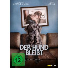 Studiocanal Der Hund bleibt (DVD)