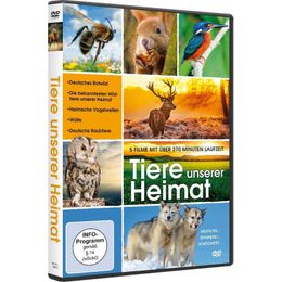 tonpool Medien GmbH Tiere Unserer Heimat (DVD)