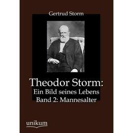 Theodor Storm: Ein Bild seines Lebens.Bd.2 - Gertrud Storm, Kartoniert (TB)