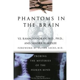 Phantoms in the Brain - Vilaynur S. Ramachandran, Sandra Blakeslee, Kartoniert (TB)
