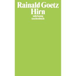 Hirn - Rainald Goetz, Taschenbuch