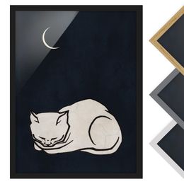 Bild mit Rahmen Schlafende Katze Illustration