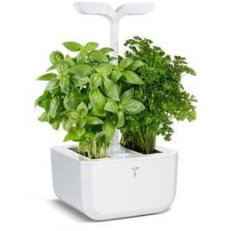 Veritable Exky Classic Indoor Garden