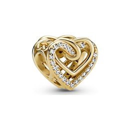 Pandora Charm Moments 769270C01