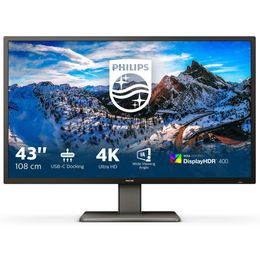 Philips 439P1 Monitor 108 cm (42,5 Zoll)