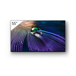 Sony Bravia MASTER FWD-55A90J Professional Display 139cm (55")