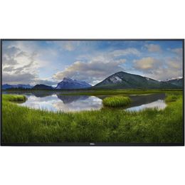 Dell P5524Q Konferenzraum Display 139,7 cm (55 Zoll)