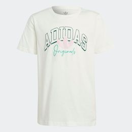 Adidas Collegiate Graphic Pack BF T-Shirt