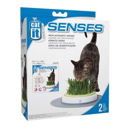 CATIT Senses Gras Garten Set 2er Nachfüllpackung