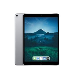 Apple iPad Pro 1 (9,7") 32 GB Wi-Fi + Cellular - Space Grau (Zustand: Sehr gut)