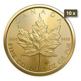 10 x 1 Unze Gold Maple Leaf 2024
