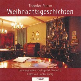 Weihnachtsgeschichten - Theodor Storm, Kartoniert (TB)