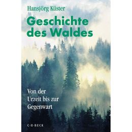 Beck Geschichte des Waldes - Hansjörg Küster, Kartoniert (TB)