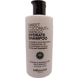 Udo Walz Haarpflege Sweet Coconut + Mango Hydrate Shampoo