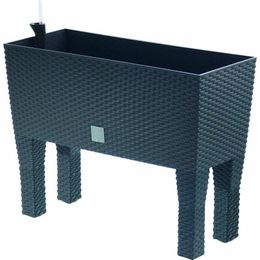 Prosperplast Blumenbank mit Füßen Rato Case High 60x25x46cm Rattan Hochbeet Pflanzen