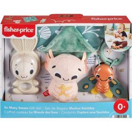 Mattel - Fisher-Price Sensorische Erlebnisse Geschenkset, 4 sensorische Spielzeuge mit