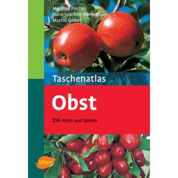 Obst - Manfred Fischer, Hans-Joachim Albrecht, Martin Geibel, Kartoniert (TB)