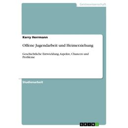 GRIN Offene Jugendarbeit und Heimerziehung - geschichtliche Entwicklung, Aspekte, Chancen und Probleme - Kerry Herrmann, Kartoniert (TB)