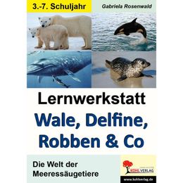 Lernwerkstatt / Lernwerkstatt Wale, Delfine, Robben & Co. - Gabriela Rosenwald, Kartoniert (TB)